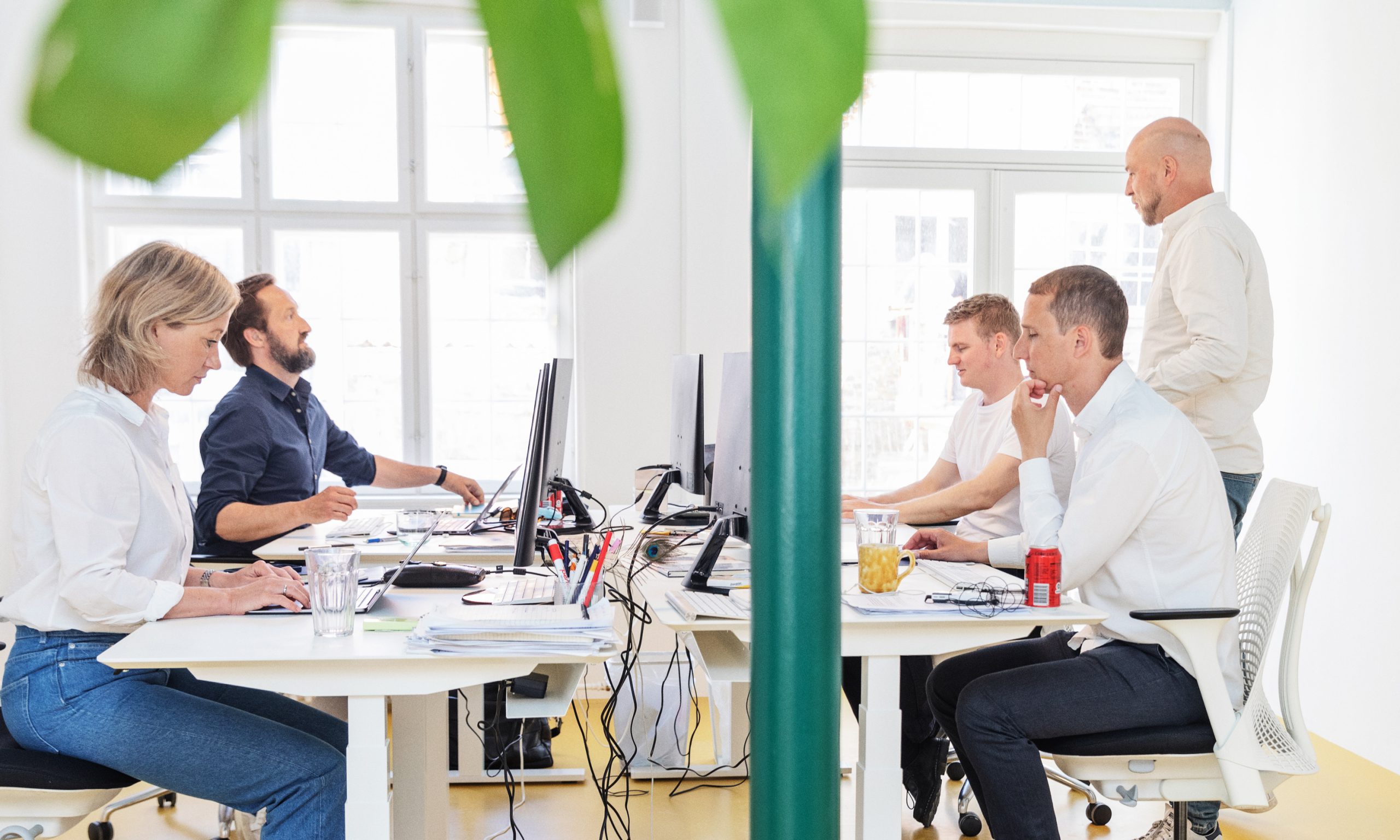 The Central Essentials